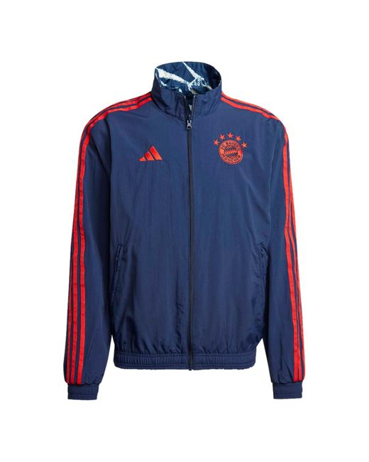 adidas Bayern Munich Anthem Jacket 2023/2024 in Blue for Men | Lyst