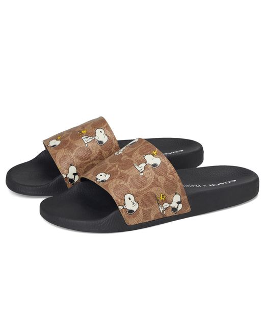 COACH Udele Peanuts Sport Slide Slippers, Canvas in Black | Lyst