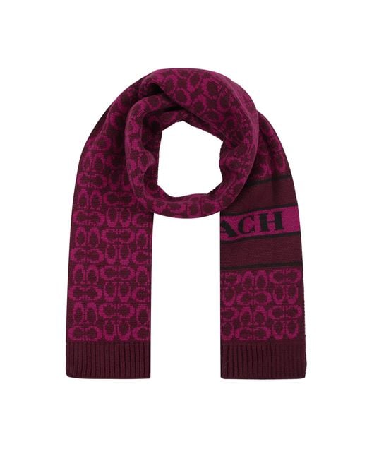 COACH Signature C Logo Knit Scarf in Purple | Lyst