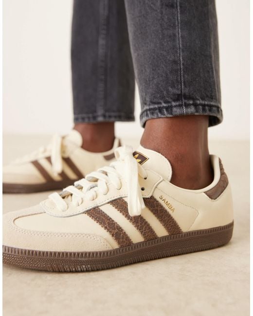 Samba og - baskets - crème croco/marron adidas Originals pour homme en ...
