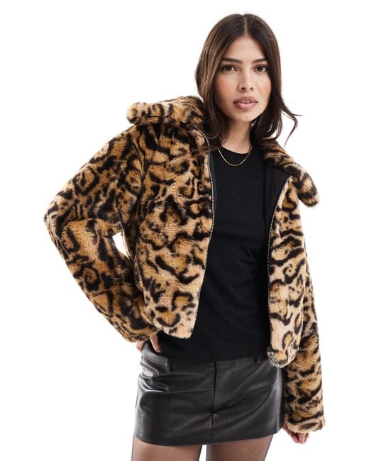 Miss Selfridge Leopard Faux Fur Bomber Jacket in Black | Lyst