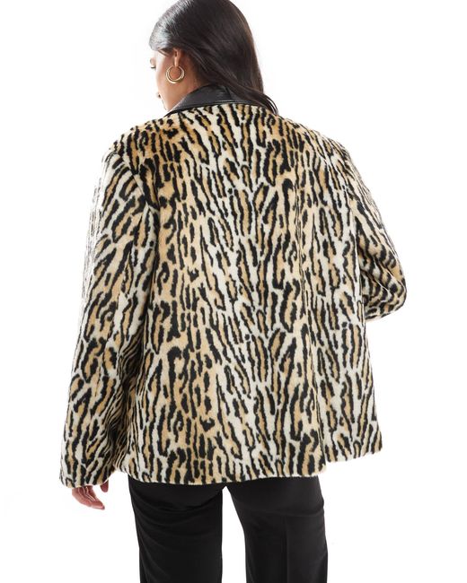 ASOS Leather Collar Faux Fur Jacket in Black | Lyst