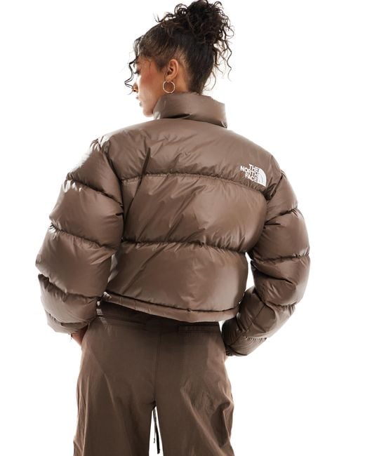 The North Face Nuptse Cropped Down Puffer Jacket in Brown | Lyst