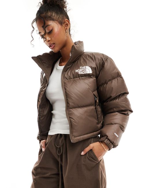 The North Face Nuptse Cropped Down Puffer Jacket in Brown | Lyst