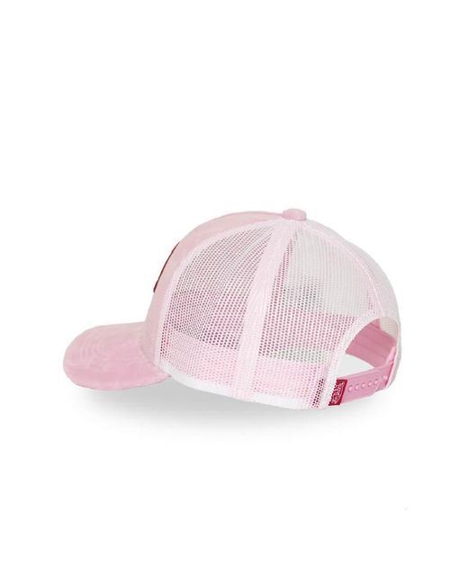 Von Dutch Velvet Trucker Cap in Pink | Lyst UK