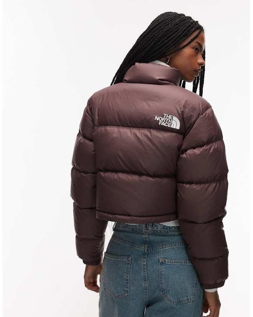 The North Face Nuptse Cropped Down Puffer Jacket in Red | Lyst UK