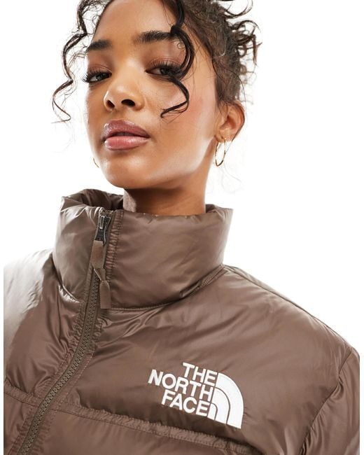 The North Face Nuptse Cropped Down Puffer Jacket in Brown | Lyst