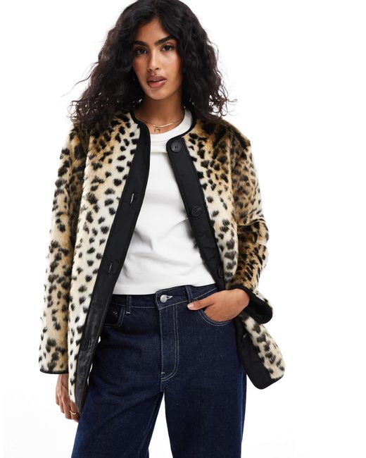 ASOS Leopard Print Faux Fur Collarless Jacket in Blue | Lyst