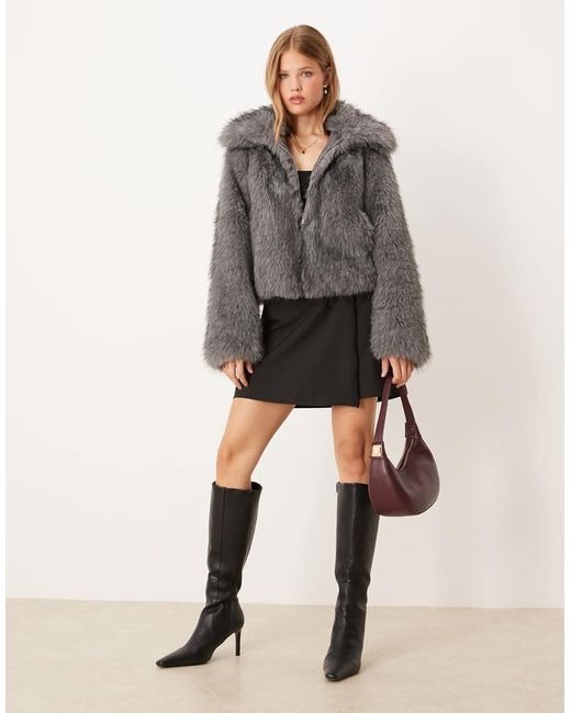 Threadbare Short Fur Jacket With Collar in Grey | Lyst UK