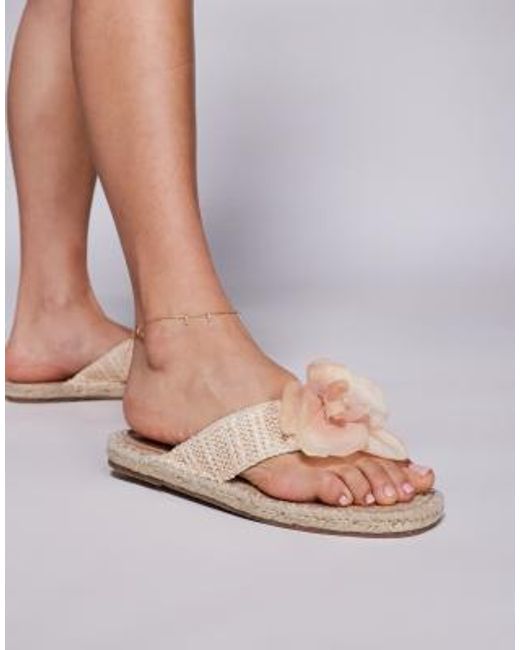 South Beach Espadrile Orchid Sandal in Pink | Lyst