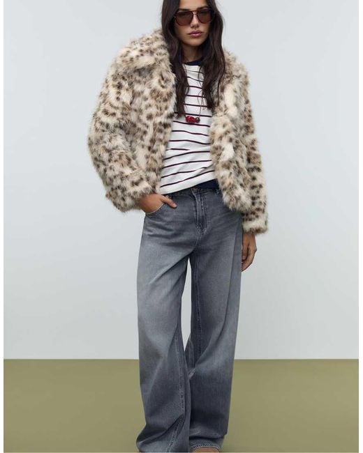 Stradivarius Leopard Print Faux Fur Jacket in Grey | Lyst UK