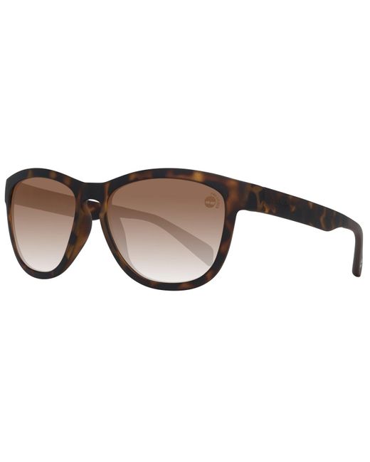 Timberland Sunglasses Tb9102 52h 54 In Brown For Men Lyst