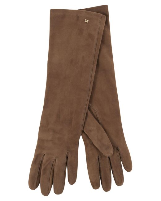 Max Mara Afideesuede Long Suede Nappa Gloves in Brown | Lyst UK