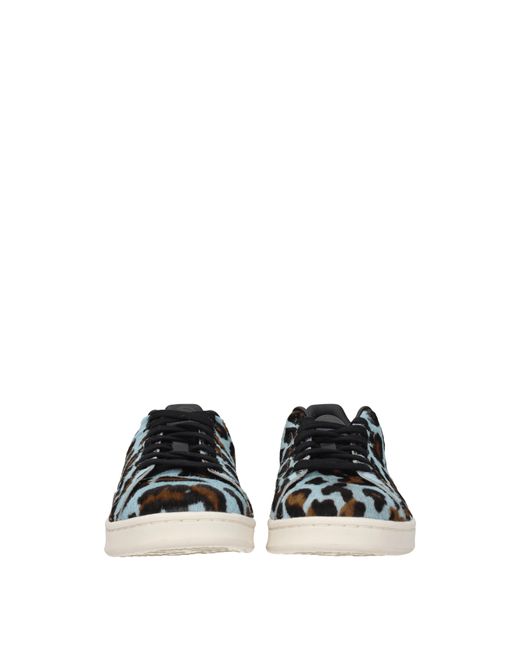 adidas Sneakers Stan Smith Heavenly Horse/Leopard in Black for Men | Lyst