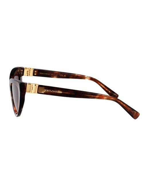 Dolce & Gabbana Sunglasses in Brown | Lyst UK