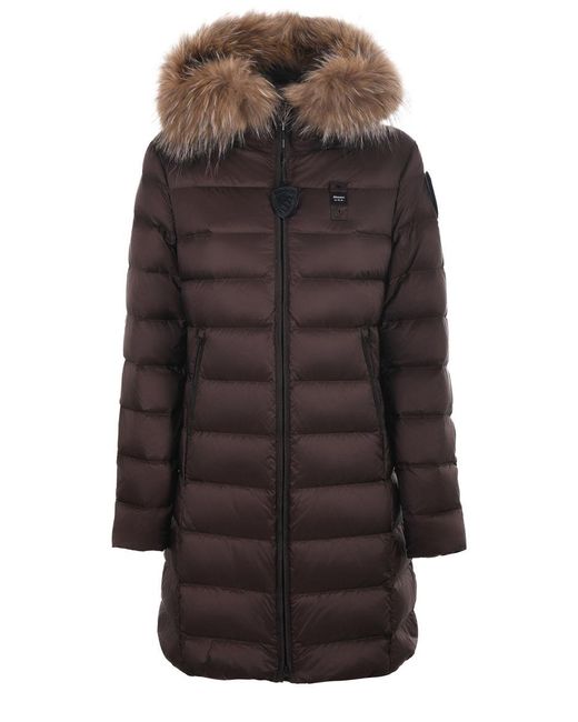 Blauer Usa Coats in Brown | Lyst UK