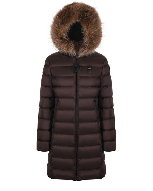 Blauer Usa Coats in Brown | Lyst UK