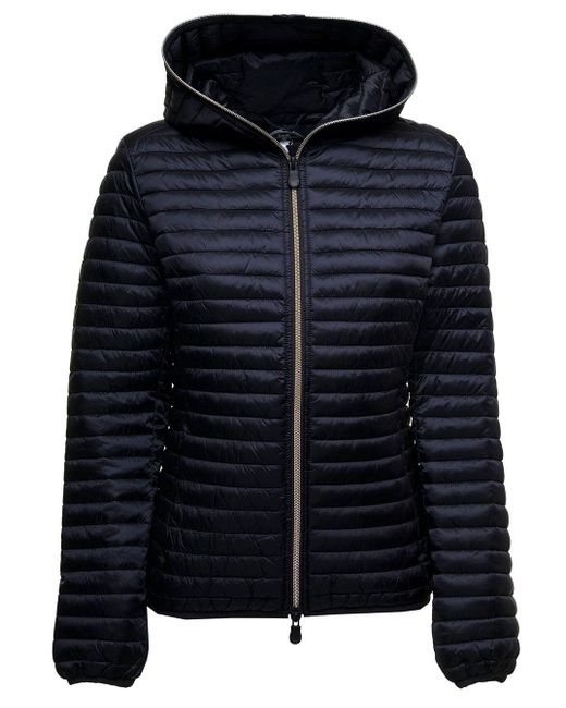 Save The Duck Synthetic Alexis Hooded Nylon Puffer in Black | Lyst Save The Duck Synthetic Alexis Hooded Nylon Puffer in Black | Lyst