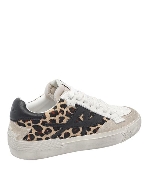 Ash Shoes in Grey | Lyst UK