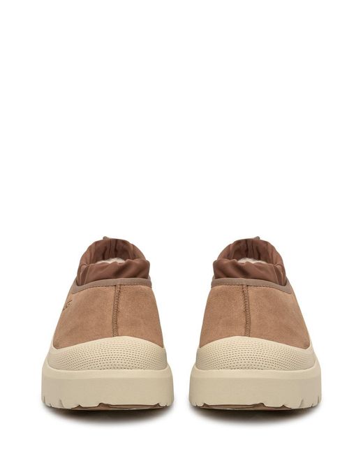UGG Suede Leather Low Sneakers in Brown for Men | Lyst UK