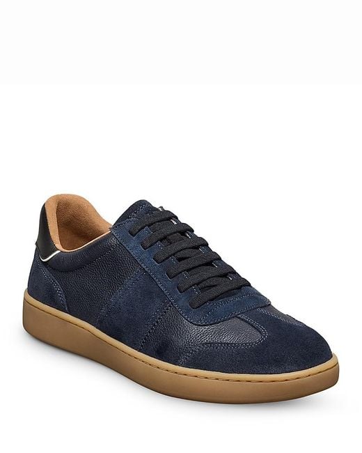 Allen Edmonds Ludlow Sneakers in Blue for Men | Lyst UK
