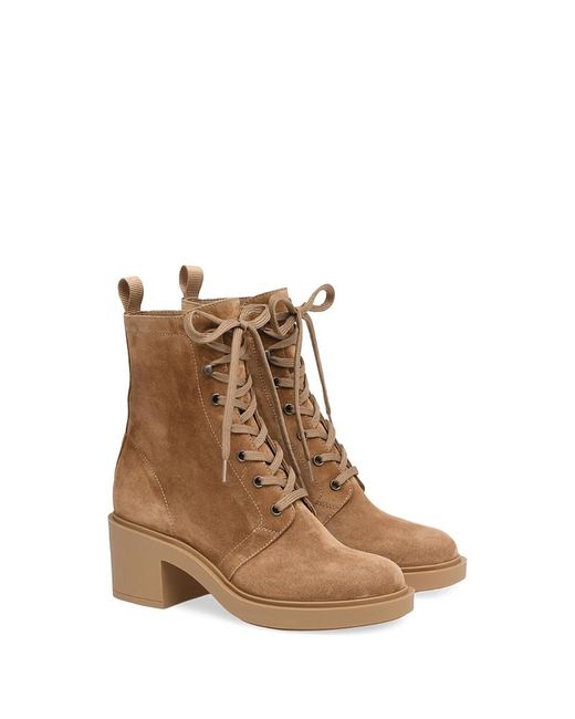 Gianvito Rossi Foster Biker Boots in Brown | Lyst