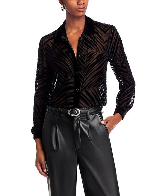 Bella Dahl Velvet Burnout Blouse in Black | Lyst