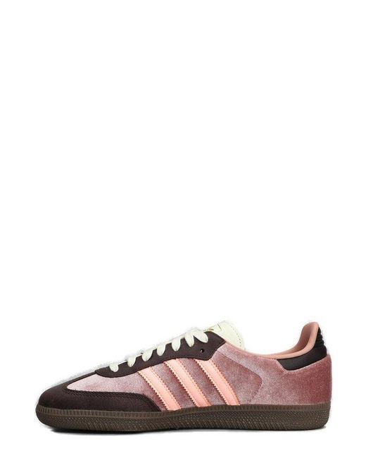 adidas Originals Samba Og Lace-Up Velvet Sneakers in Brown | Lyst