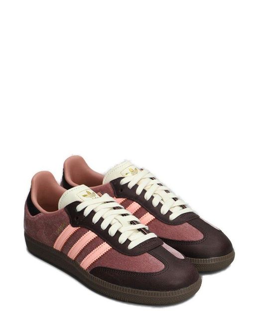 adidas Originals Samba Og Lace-Up Velvet Sneakers in Brown | Lyst