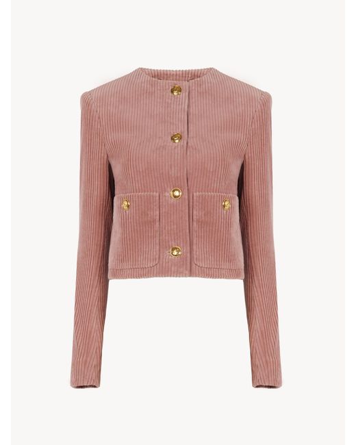 Chloé Cropped Boxy Jacket In Velvet | Lyst