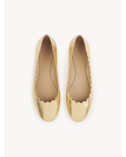 Chloé Lauren Ballerina in Natural | Lyst
