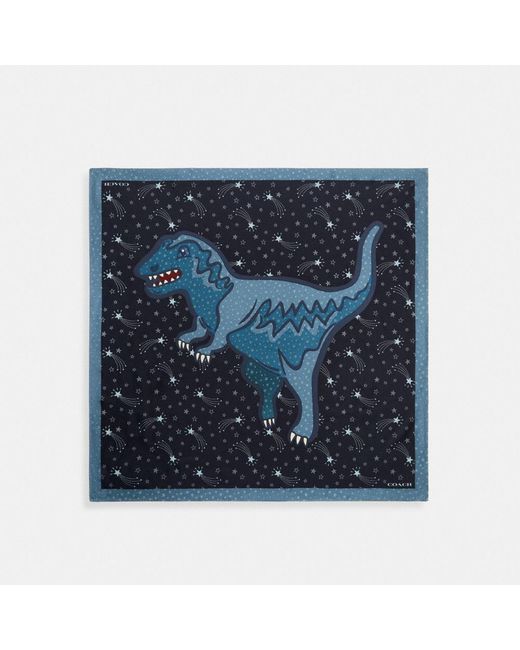COACH Shooting Star Rexy Print Silk Square Scarf in Blue | Lyst