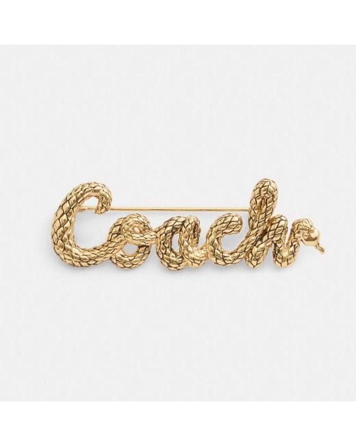 COACH New Year Snake Script Brooch in Metallic | Lyst