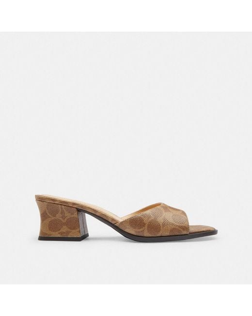 COACH Sculpted C Block Heel Sandal In Signature Canvas in Brown | Lyst