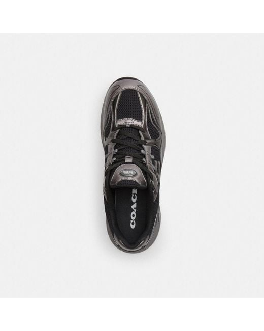 COACH C301 Sneaker (Ancient Zinc/) Lace Up Wing Tip Shoes in Black for ...