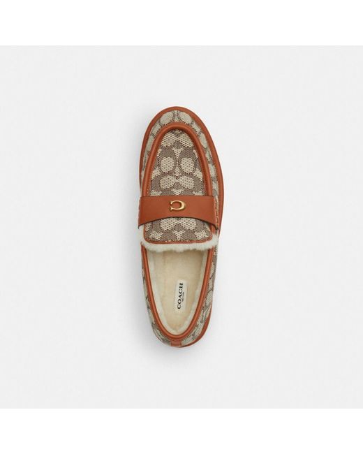 COACH Forest Slipper In Signature Textile Jacquard in Brown | Lyst
