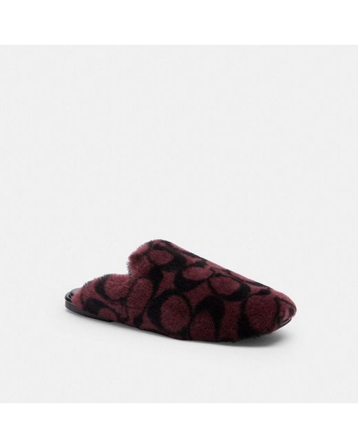 COACH Slipper In Signature Shearling in Brown | Lyst
