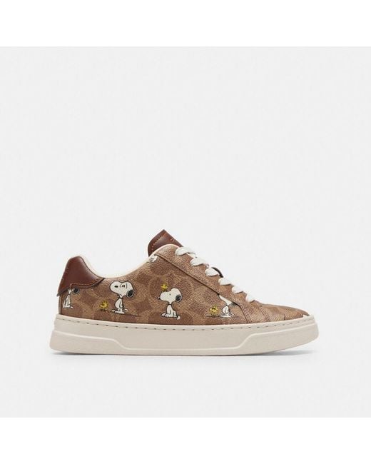COACH X Peanuts High Line Sneaker In Signature Canvas With Snoopy Print ...