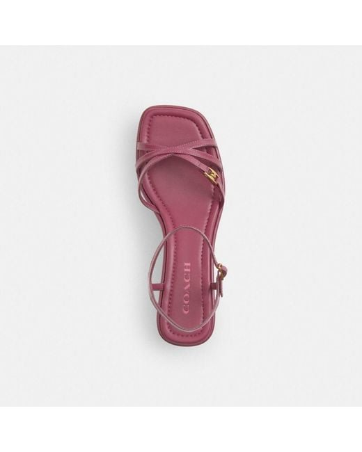COACH Ginny Platform Sandal in Pink | Lyst