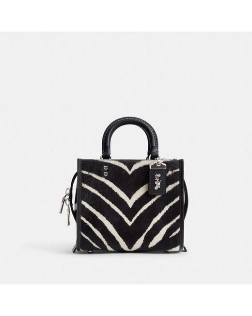 COACH Rogue 20 In Haircalf With Zebra Print in Black | Lyst