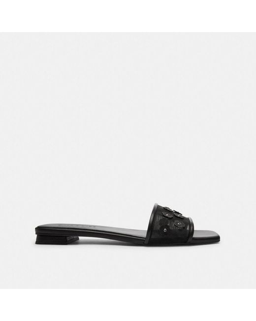 COACH Flat Sandal With Tea Rose in Black | Lyst