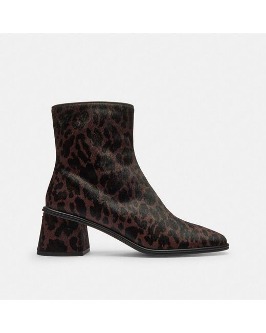COACH Gigi Bootie With Leopard Print in Black | Lyst