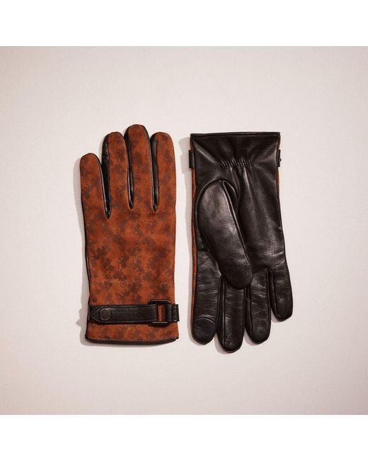 COACH Restored Horse And Carriage Tech Napa Gloves in Brown for Men | Lyst