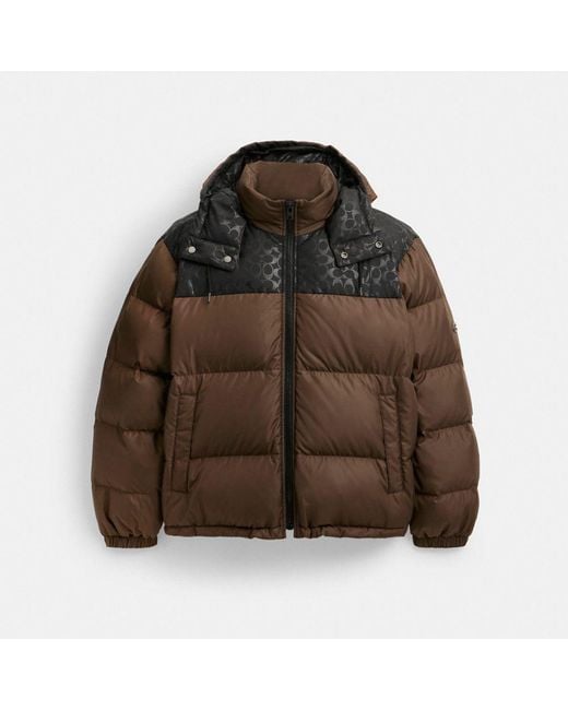 COACH Down Puffer Jacket In Recycled Polyester in Brown for Men | Lyst