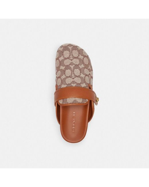COACH Platform Slippers `Blake` in Brown | Lyst