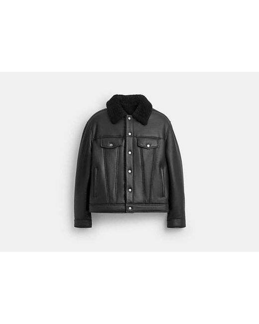 COACH Shearling Trucker Jacket in Black for Men | Lyst UK