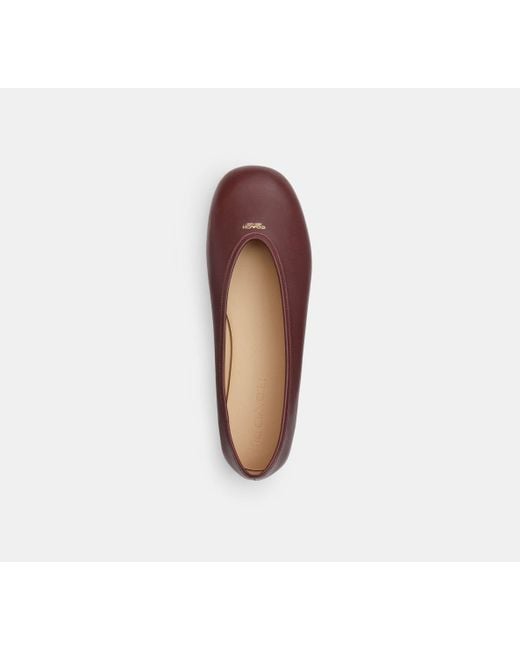 COACH Houston Ballet Flat | Lyst UK
