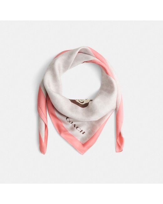 COACH Restored Horse And Carriage Print Oversized Square Scarf in Pink ...