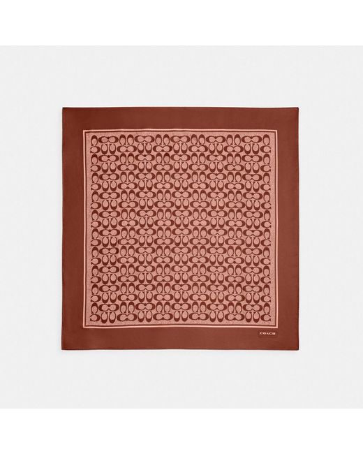 COACH Textured Signature Print Silk Square Scarf | Lyst