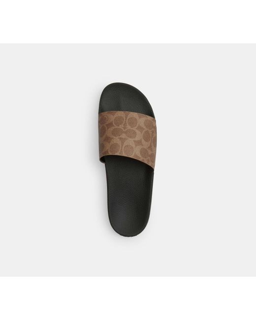 COACH Slide In Signature Canvas in Black for Men | Lyst UK